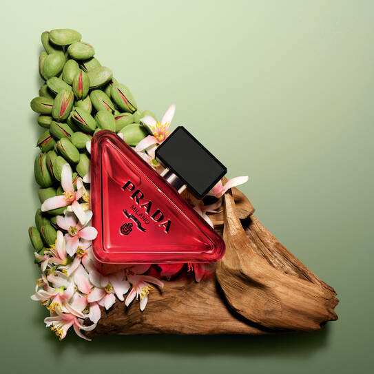 Prada Paradoxe Collection | Prada Beauty Official Site