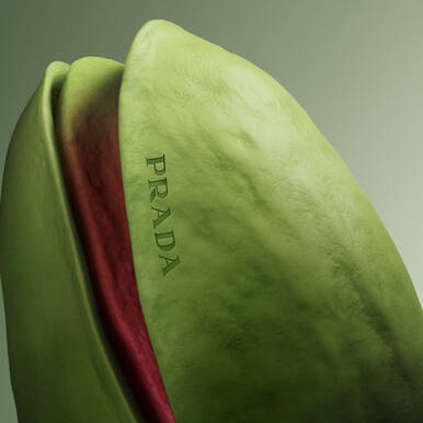 Prada Paradoxe Collection | Prada Beauty Official Site