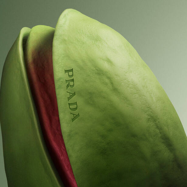 Prada Paradoxe Collection | Prada Beauty Official Site