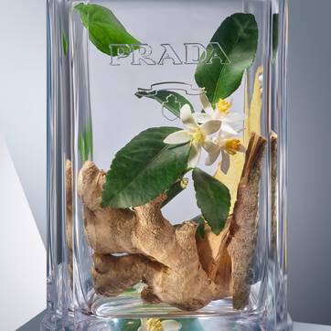 L'Homme Cologne Collection | Prada Beauty Official Site