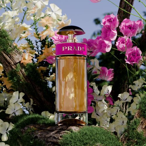 Fragrances, Makeup & Skincare | Prada Beauty Official Site